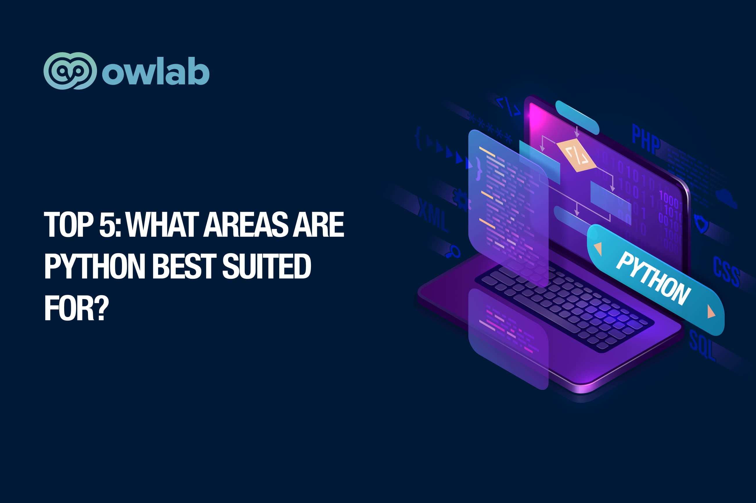 Top 5: What Areas are Python Best Suited For?